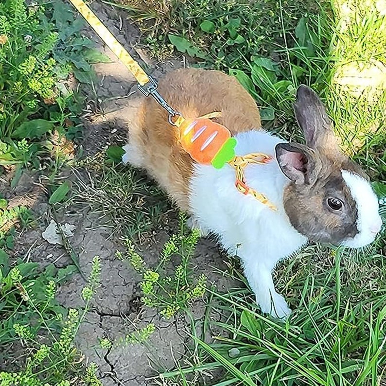 Rabbit Harness and Leash Adjustable Carrot Pattern Cute Bunny Harness ...