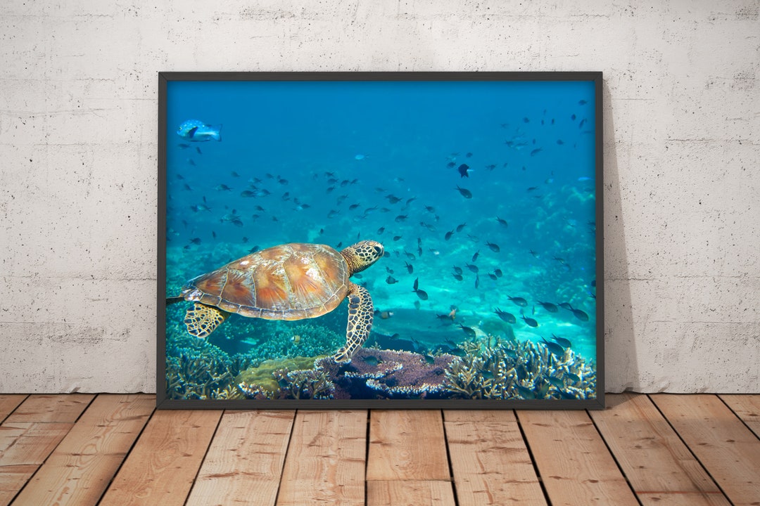 A Sea Turtle Portrait Close up While Looking at You Self-adhesive ...