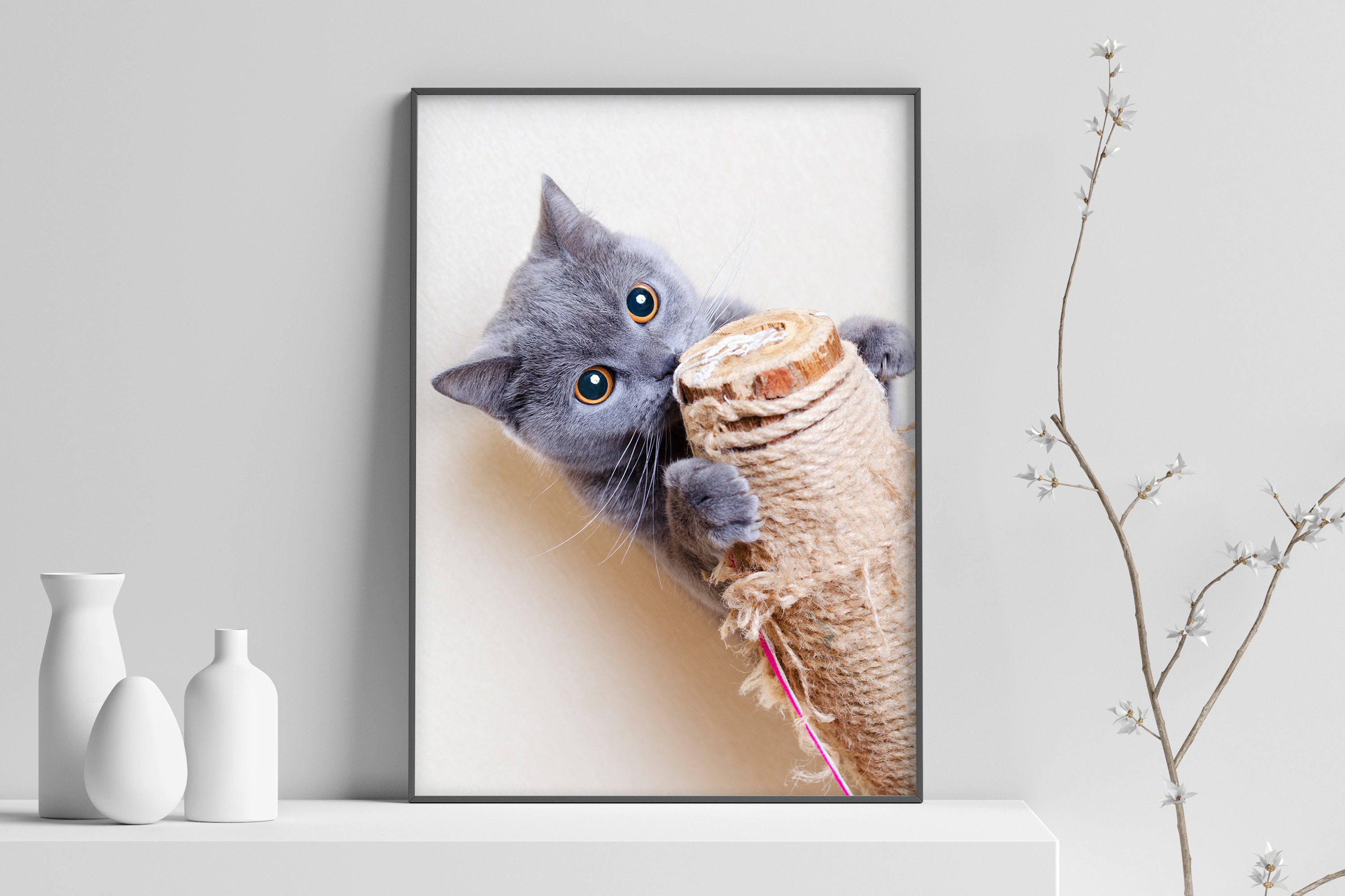 British Cat Scratching Post Self-adhesive Poster - Adorable Pet ...