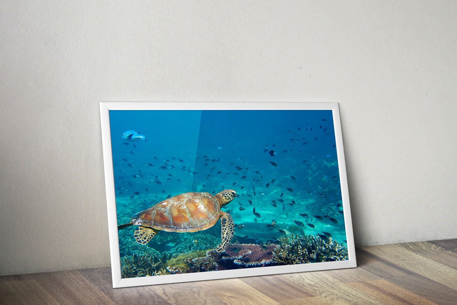 A Sea Turtle Portrait Close up While Looking at You Self-adhesive ...