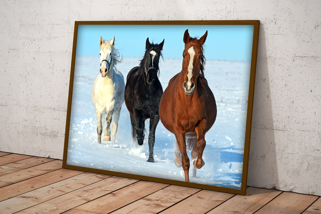 Horse Self-adhesive Poster - Animals Running Next to Each Other - Open ...