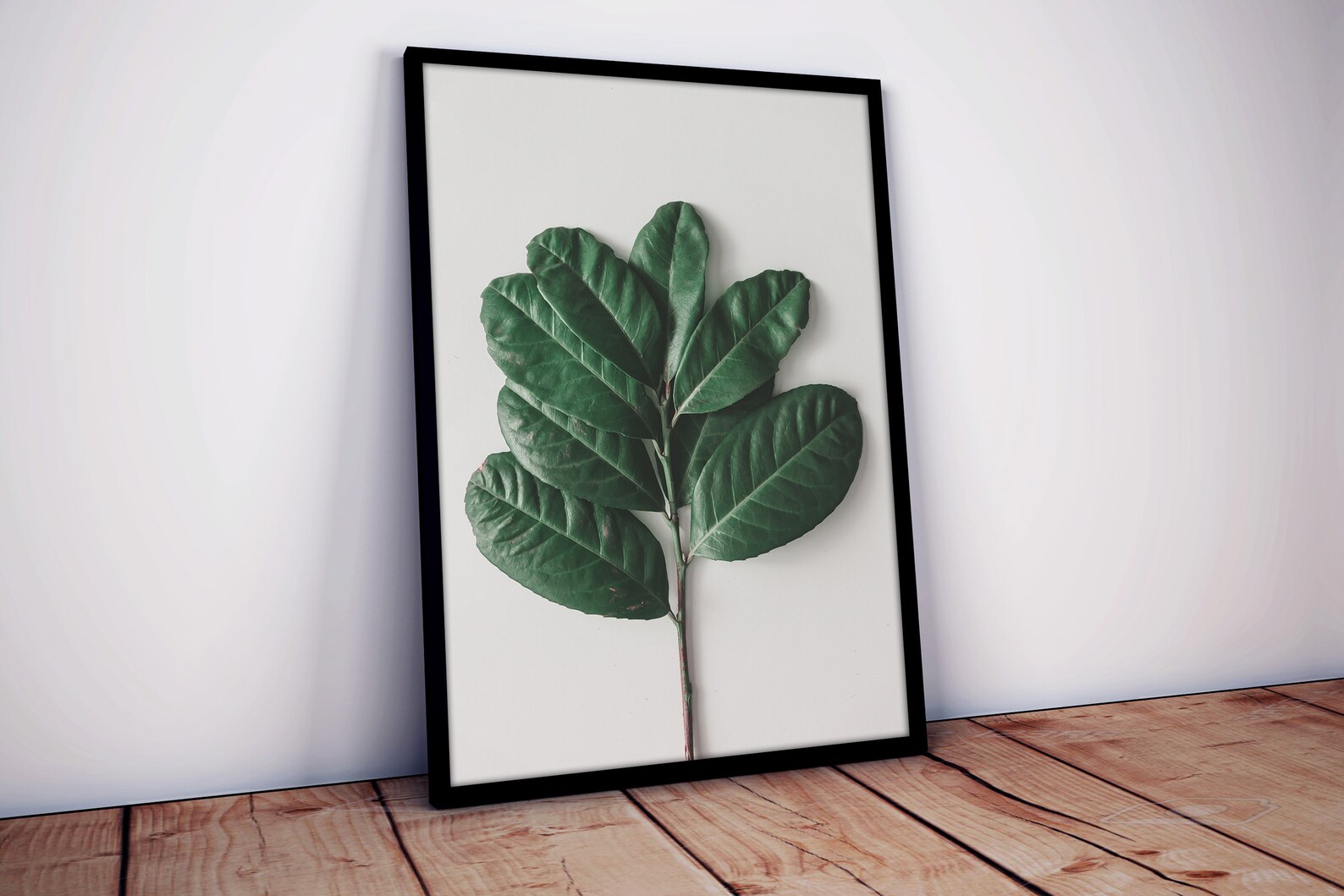 Creative Minimal Arrangement of Leaves on Bright White Background. Flat ...