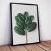 Creative Minimal Arrangement of Leaves on Bright White Background. Flat ...
