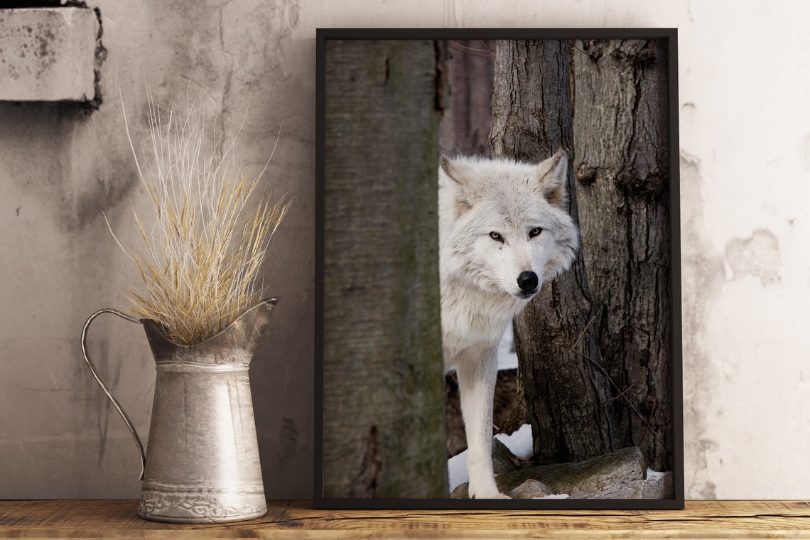 Timber Wolf Self-adhesive Poster Hiding Between Trees Wild | Etsy