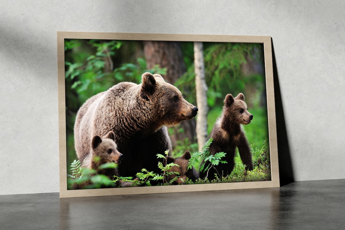 Brown Bear With Cubs in Forest Self-adhesive Poster - Loving Family ...