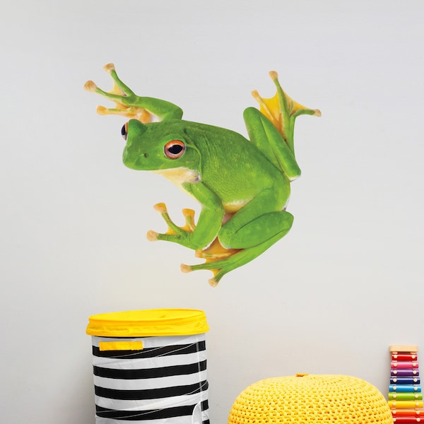 Frog Wall Decals - Etsy
