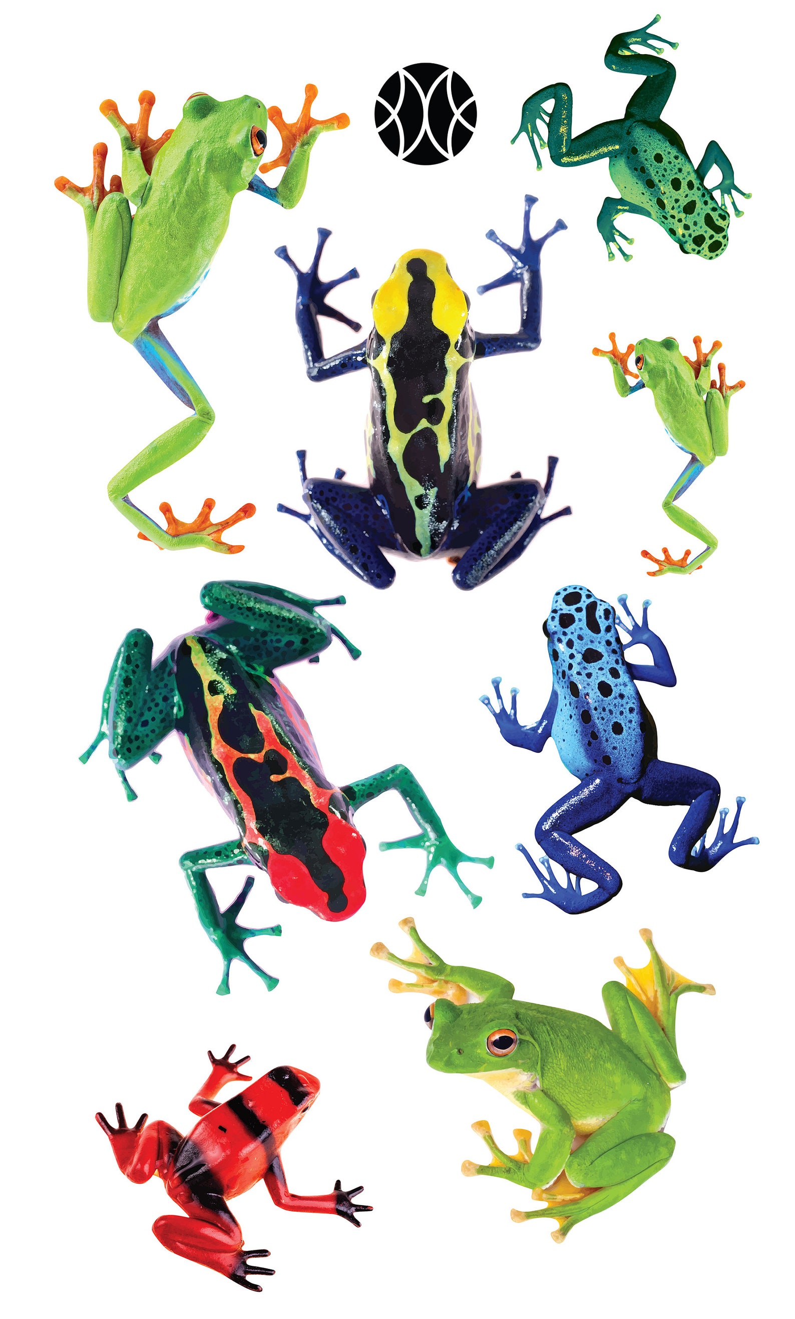 Realistic Watercolor Colorful Tree Frog Wall Decals | Etsy