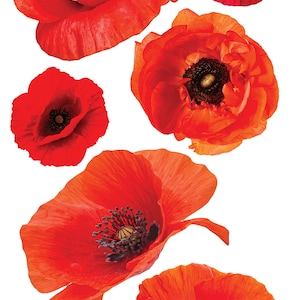 Red/orange Poppies Peel & Stick Wall Decals - Etsy