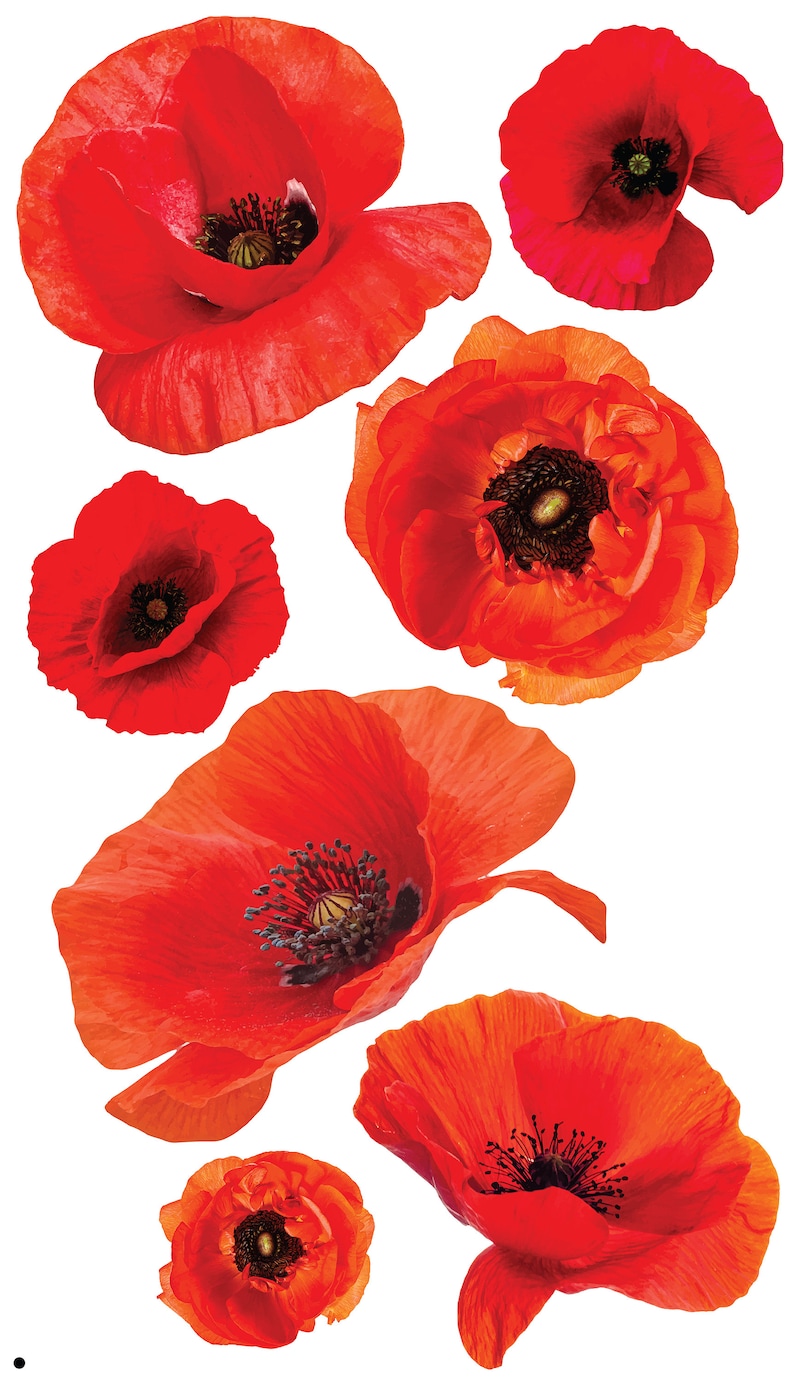 Red/orange Poppies Peel & Stick Wall Decals - Etsy