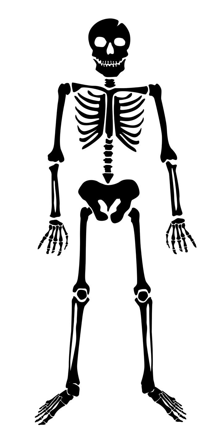 Halloween Life Size Skeleton Wall Decal | Large Spooky Vinyl Skeleton ...