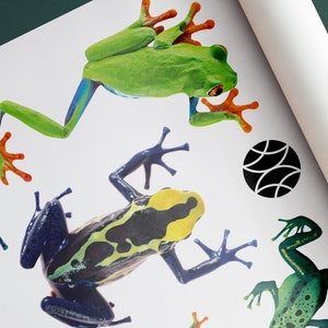 Realistic Watercolor Colorful Tree Frog Wall Decals - Etsy