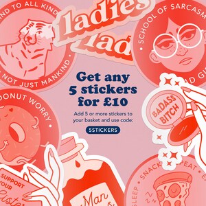 Pink Waterproof Sticker 4 Pack | Funny Vinyl Stickers | Cute Stickers ...