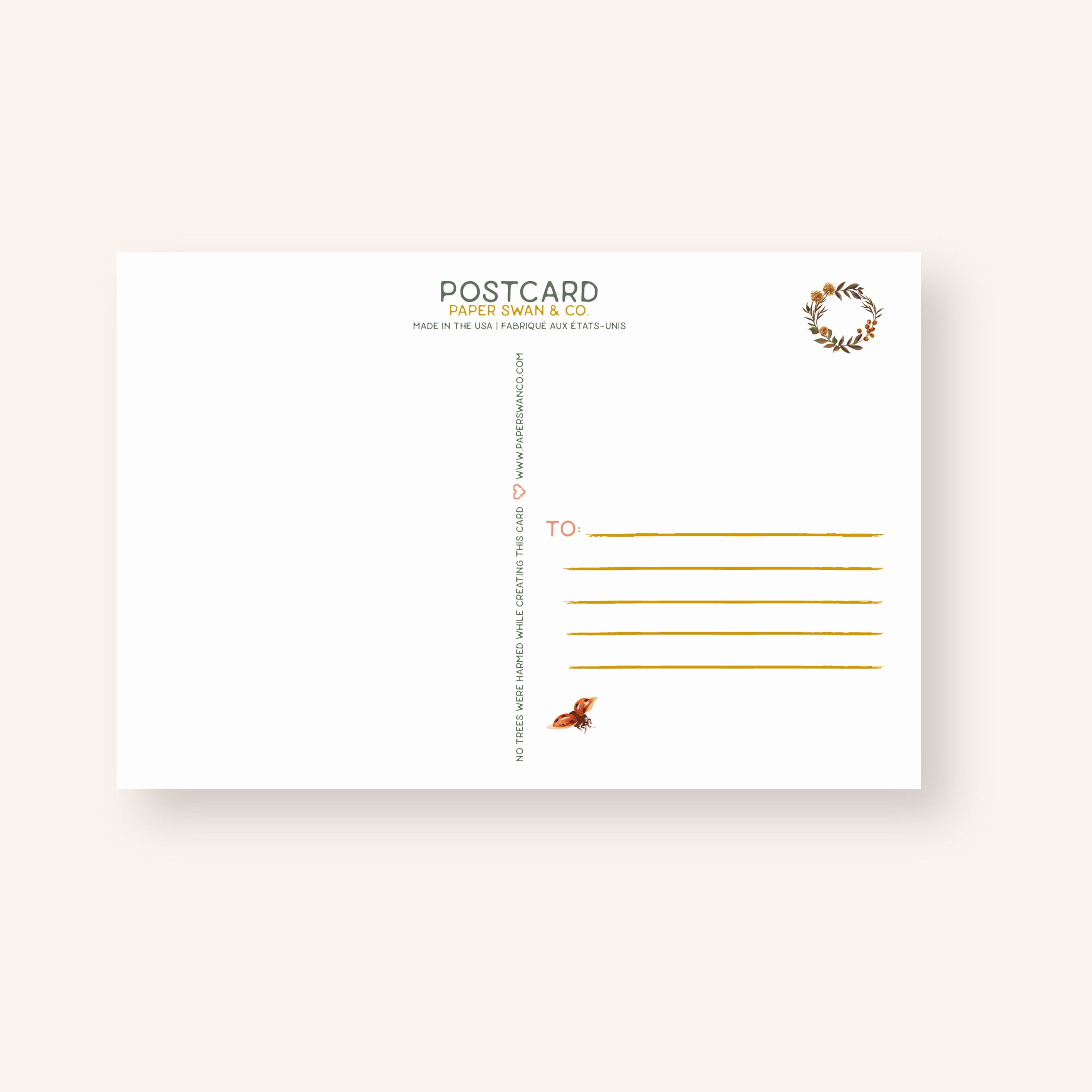 Tin Can Sonnets Postcard Collection Vintage-inspired - Etsy