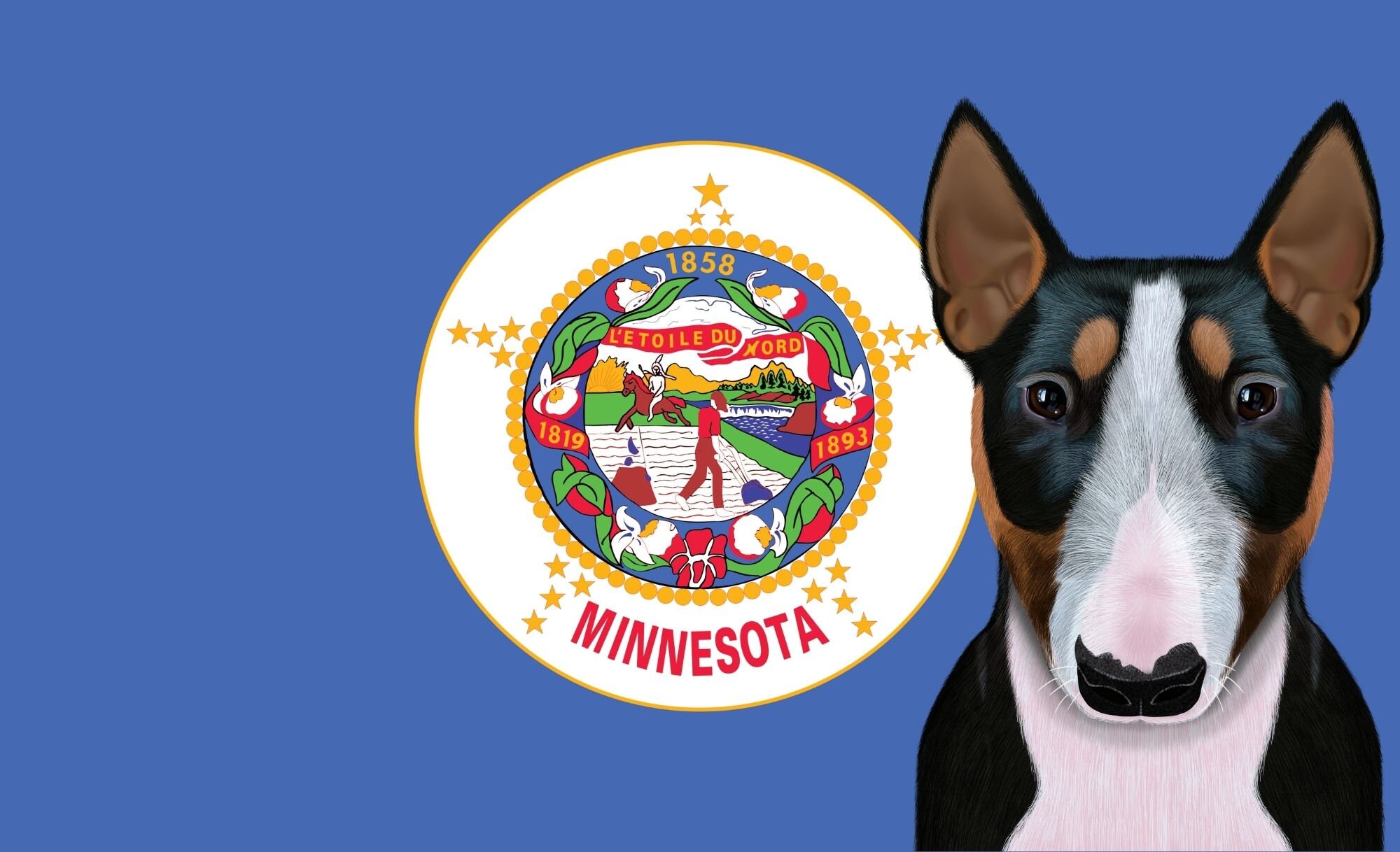 Bull Terrier Dog USA State Flags M - Etsy