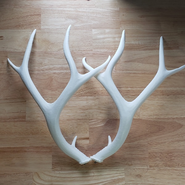 Deer Antlers - Etsy