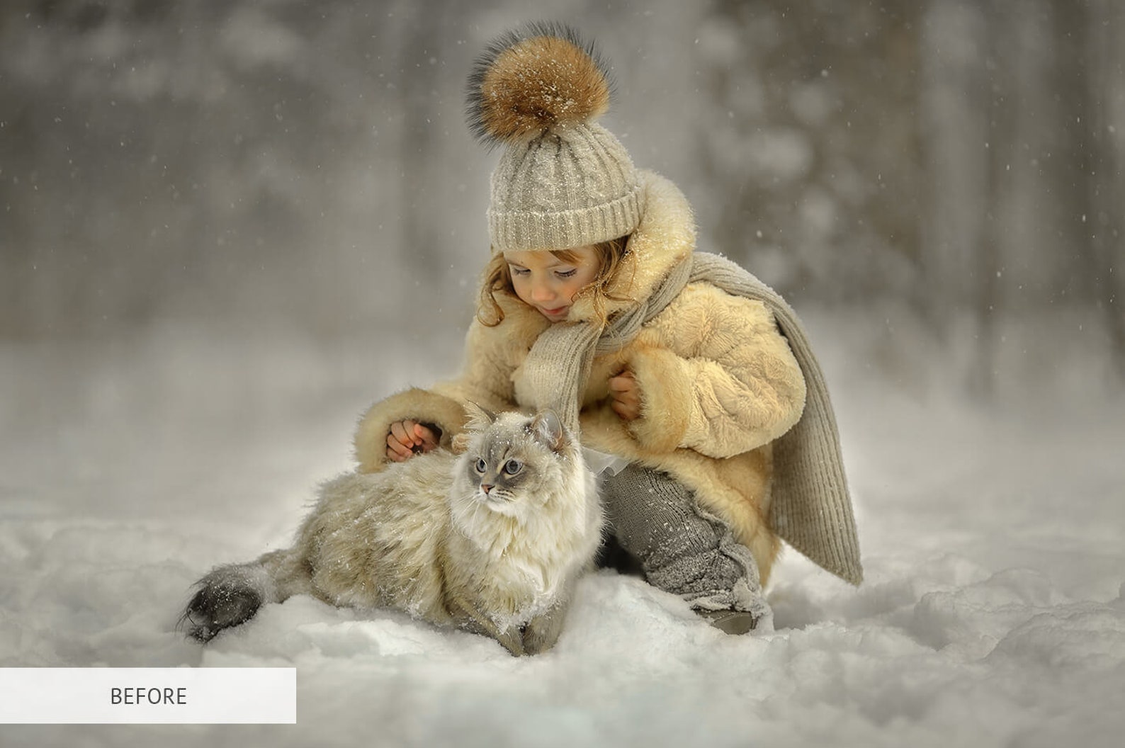 Frost Photoshop Overlaysphoto Overlayspng Effectwinter - Etsy