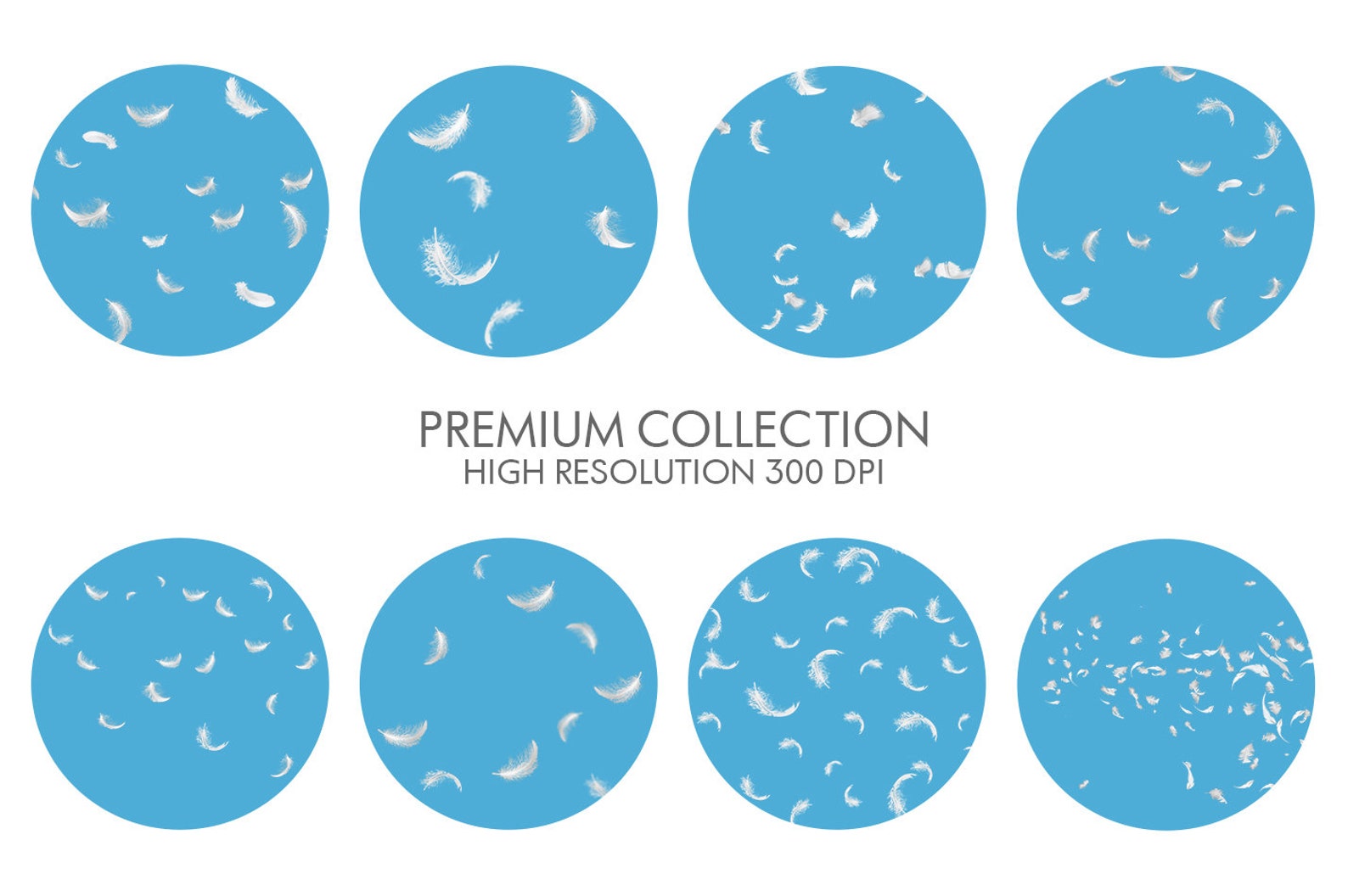 30 Feather Overlays/ Feather Overlay/ Feather Png/photoshop - Etsy