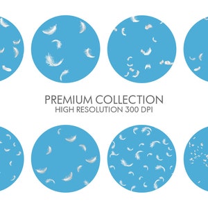 30 Feather Overlays/ Feather Overlay/ Feather Png/photoshop Overlays ...