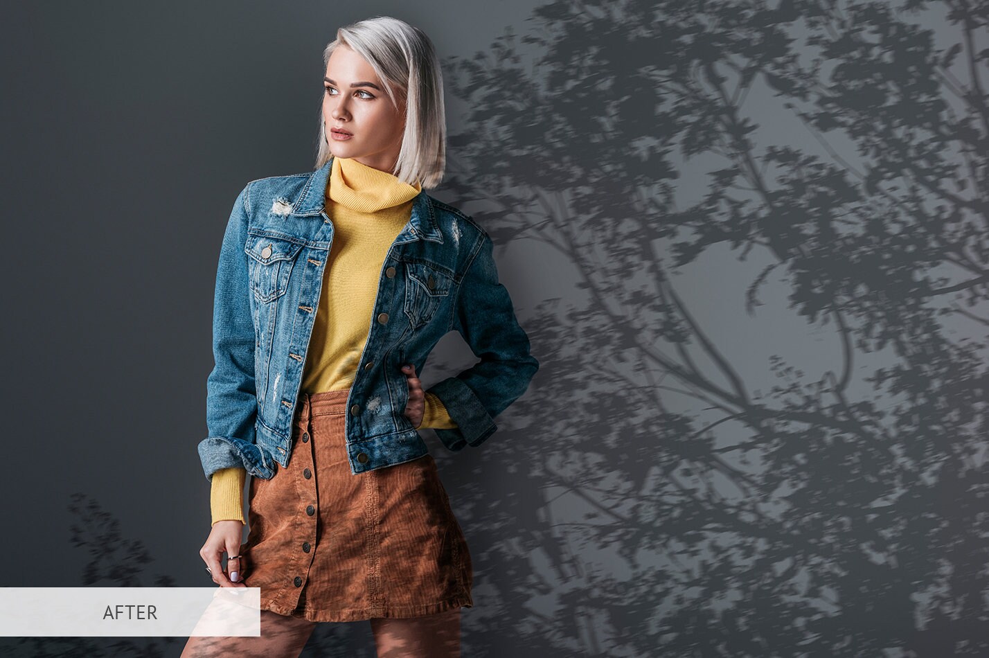 Shadow PNG Sunlight Shadows Photoshop Overlays Shadow - Etsy