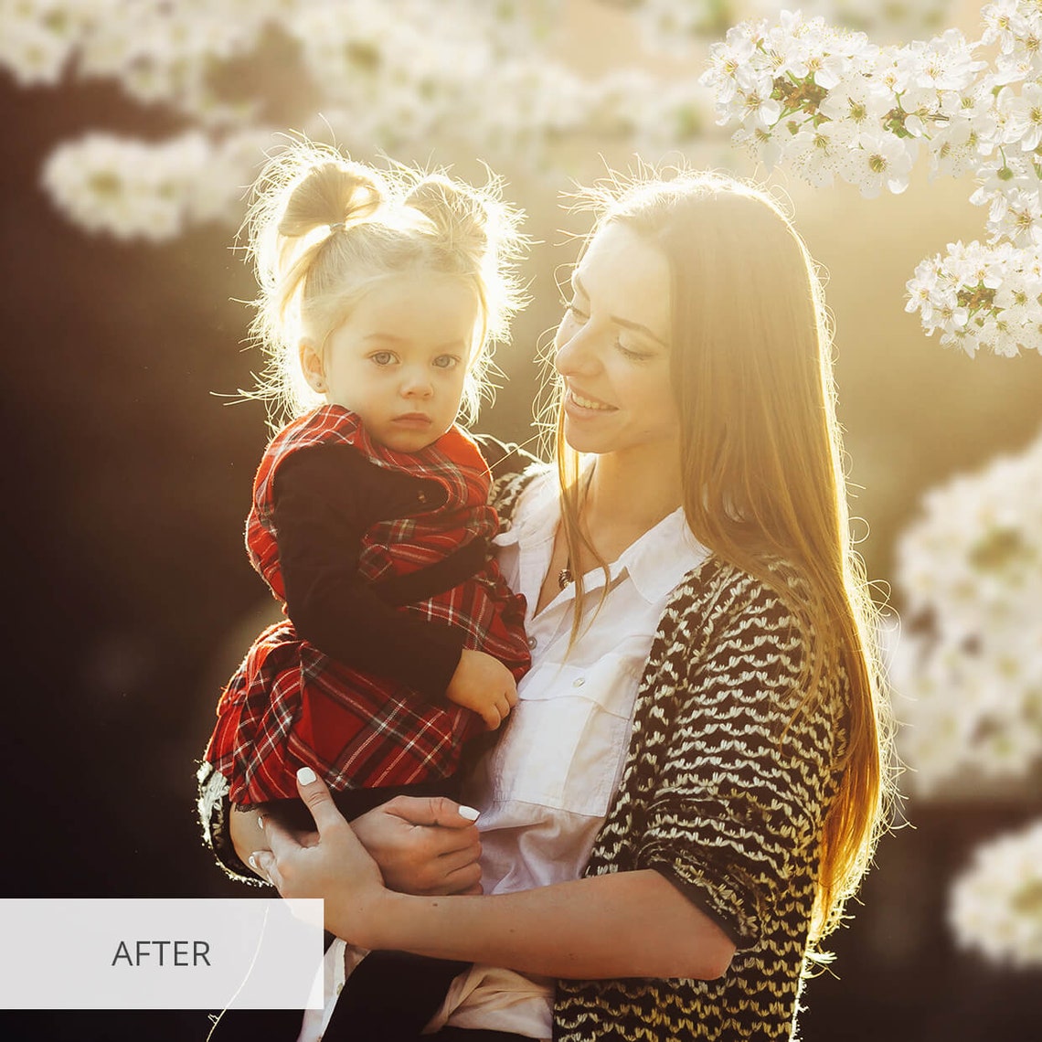 Cherry Blossom Photoshop Overlaysphoto Overlayphotography - Etsy