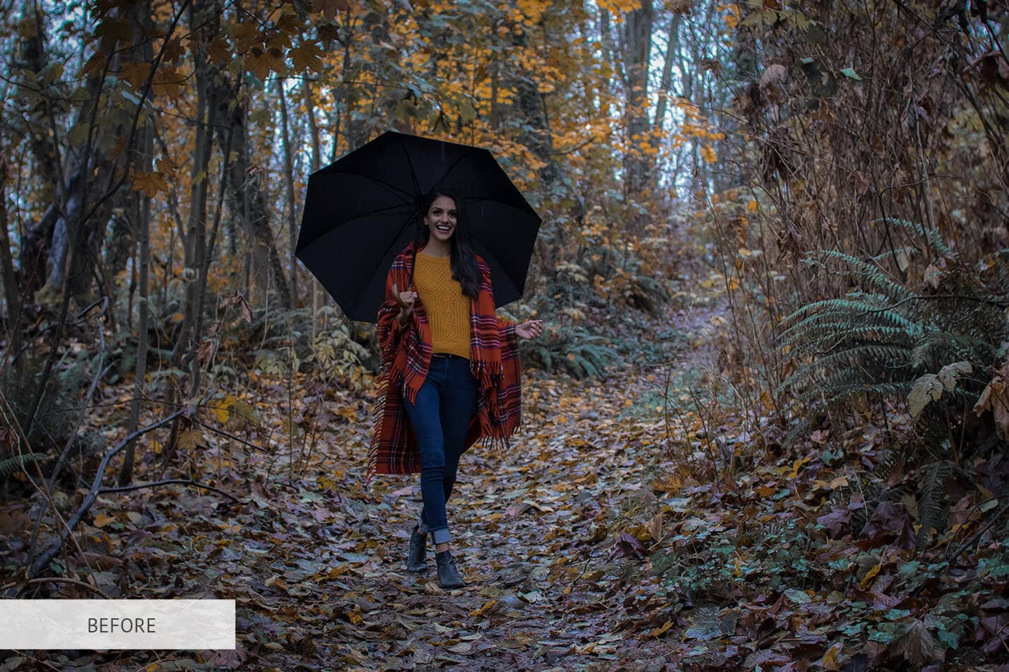 Fall Photoshop Overlaysphoto Overlayspng Effectautumn - Etsy