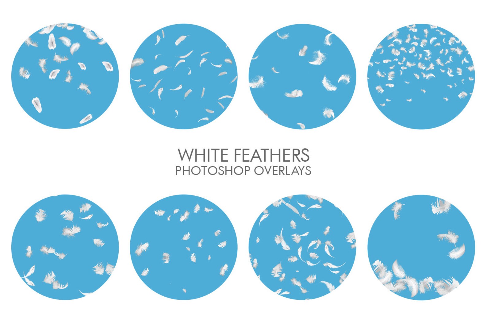 30 Feather Overlays/ Feather Overlay/ Feather Png/photoshop - Etsy