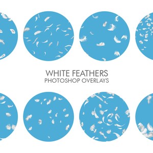 30 Feather Overlays/ Feather Overlay/ Feather Png/photoshop Overlays ...