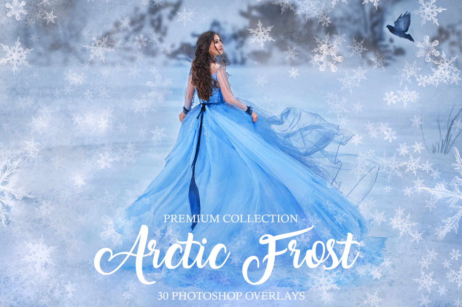 Artic Frost Photoshop Overlays,frost Overlay, Frost Overlay PNG ...
