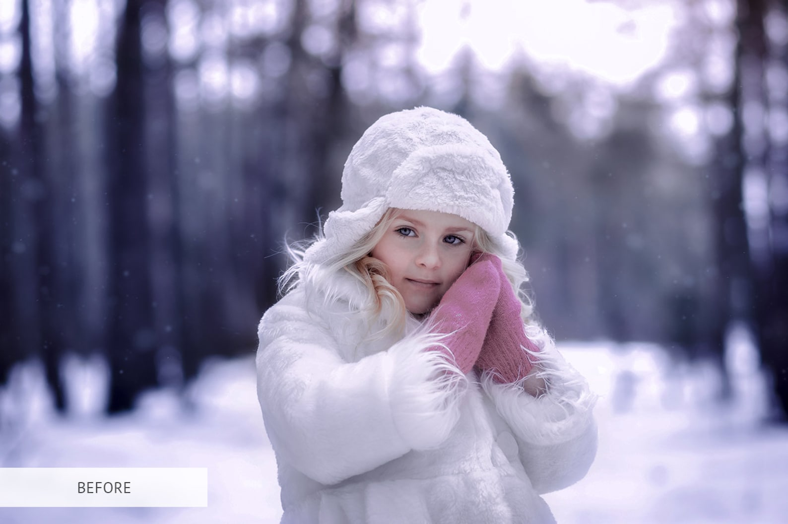 Winter Snowflakes Overlays Photoshop photoshop Snow Overlay, Snow ...