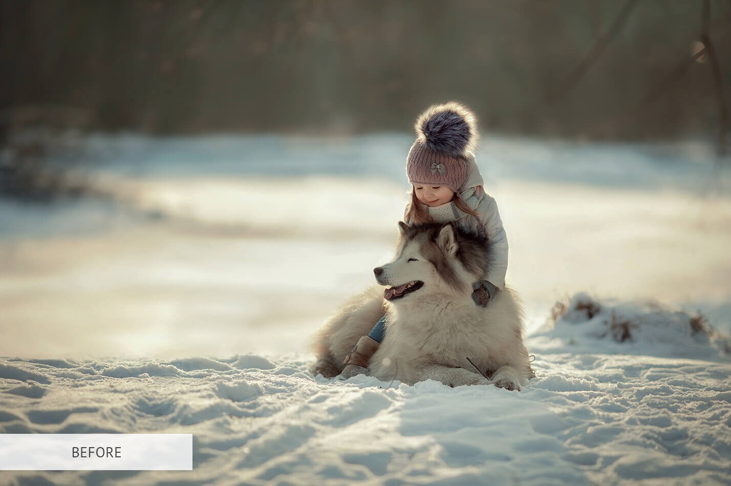 Frost Photoshop Overlaysphoto Overlayspng Effectwinter - Etsy