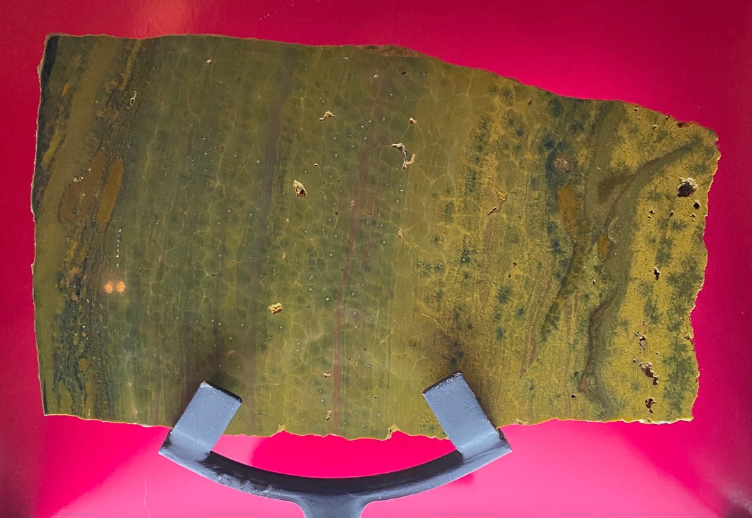 Ocean Jasper Slice Sea Jasper Slice Slab - Etsy
