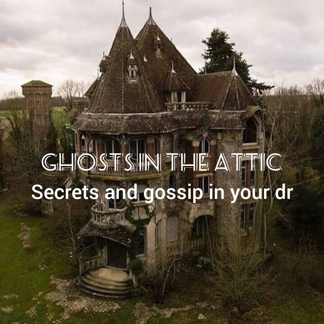 Ghosts in the Attic: Secrets and Gossip of Your Dr - Etsy
