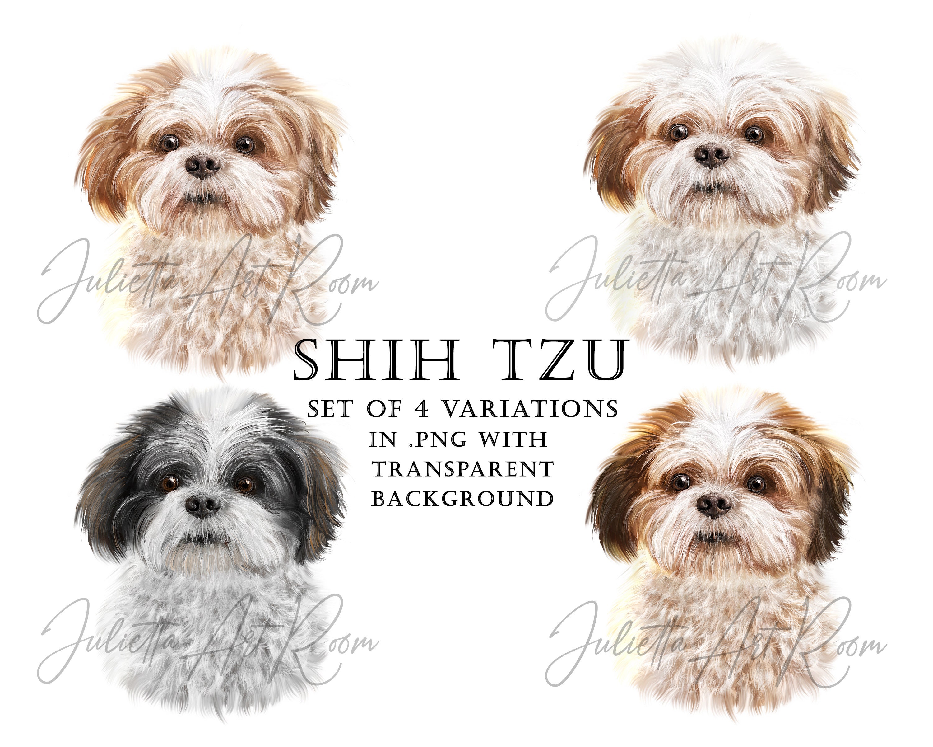 Shih Tzu Watercolor Clip Art Shih Tzu Dogs Png Dog Clipart - Etsy