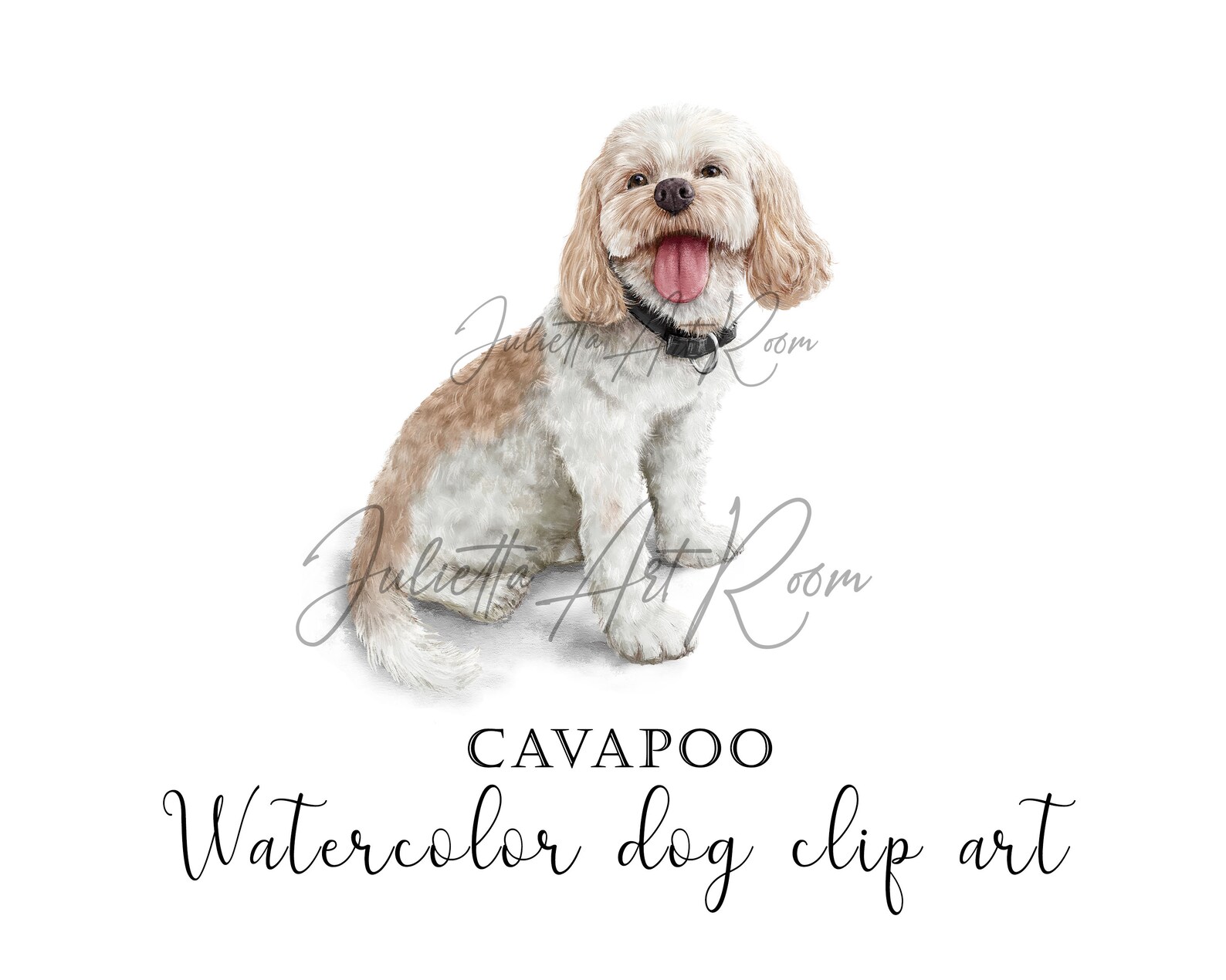 Cavapoo Watercolor Png Clipart Cockapoo Png Poodle Mix - Etsy