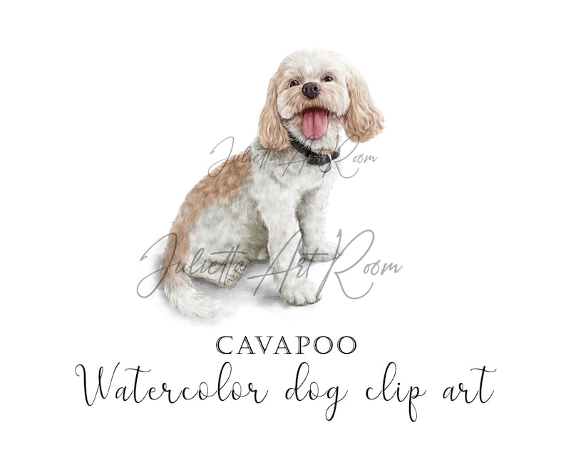 Cavapoo Watercolor Png Clipart Cockapoo Png Poodle Mix - Etsy