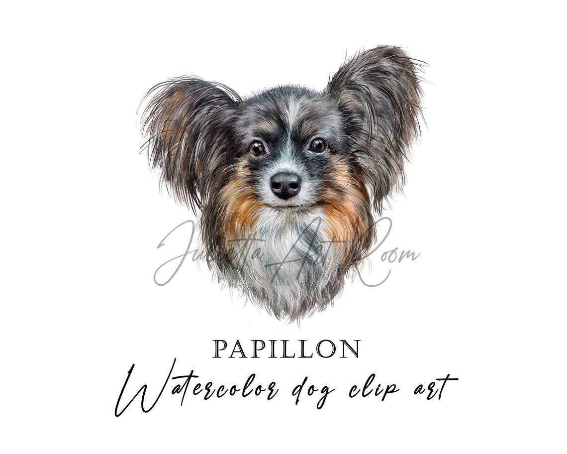 Papillon Dog Face Watercolor Png Clipart Instant Download - Etsy