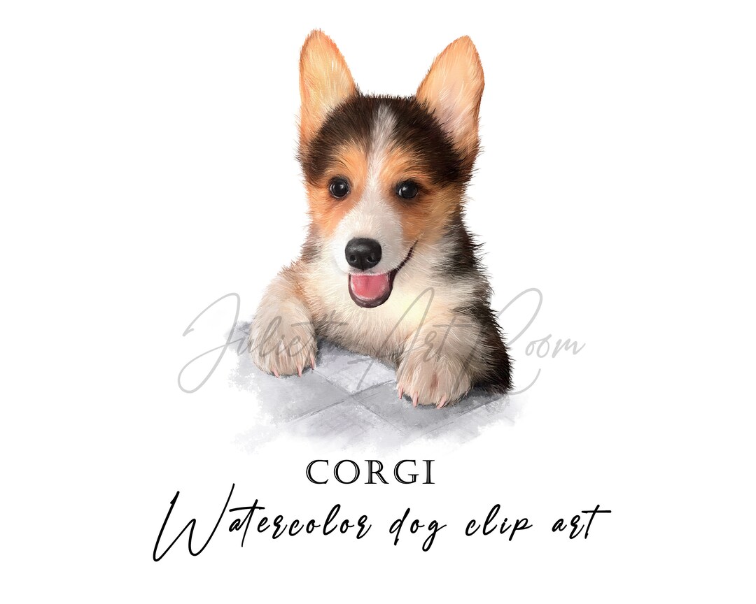 Watercolor Corgi Clipart, Welsh Corgi Png, DIY Portrait, Corgi Mom ...
