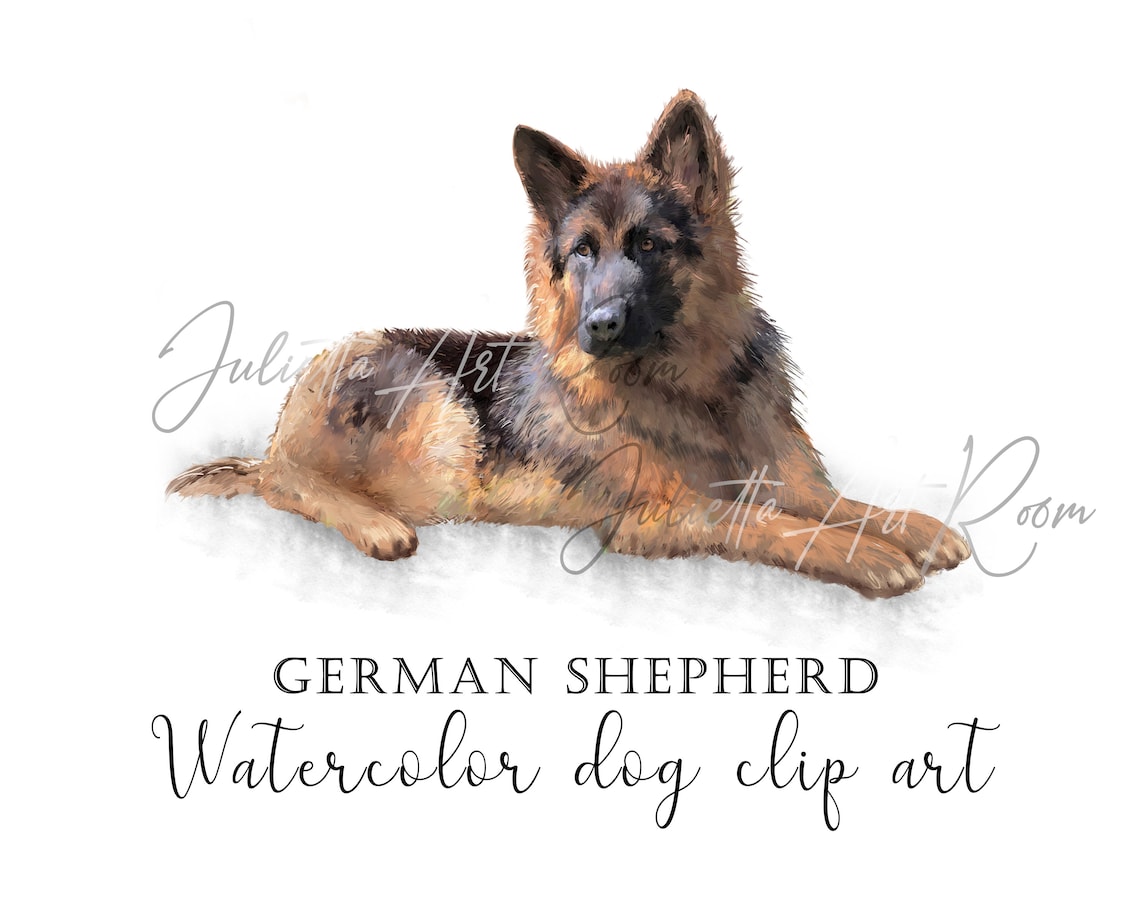 German Shepherd Watercolor Clipart Png Dog Sublimation - Etsy