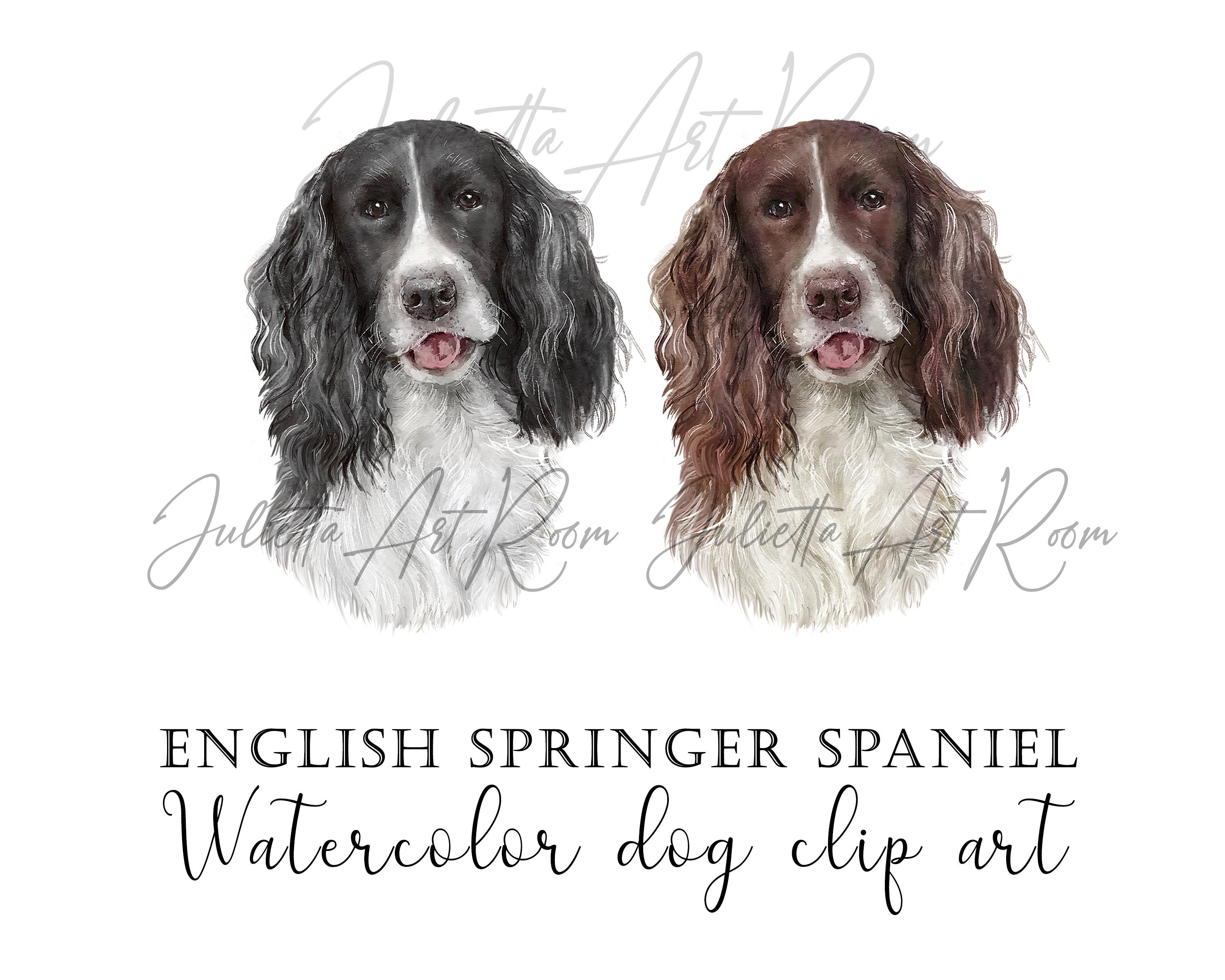 English Springer Spaniel Watercolor Clipart Cocker Spaniel - Etsy