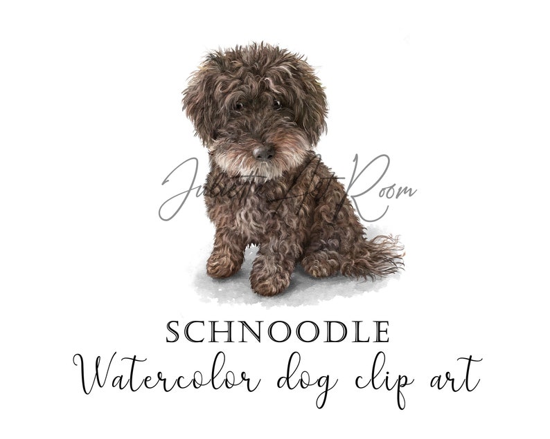 Schnoodle Watercolor Clipart With Transparent Background - Etsy