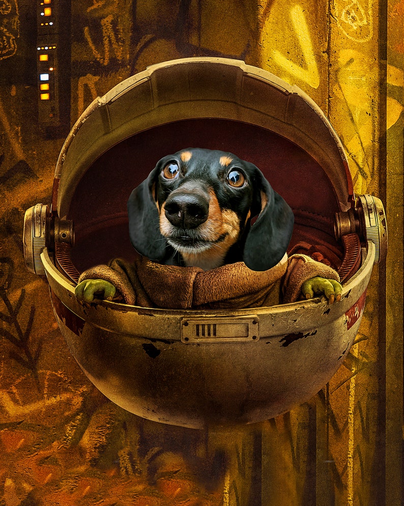 Grogu Portrait Mandalorian Dog Portrait Christmas Gift - Etsy