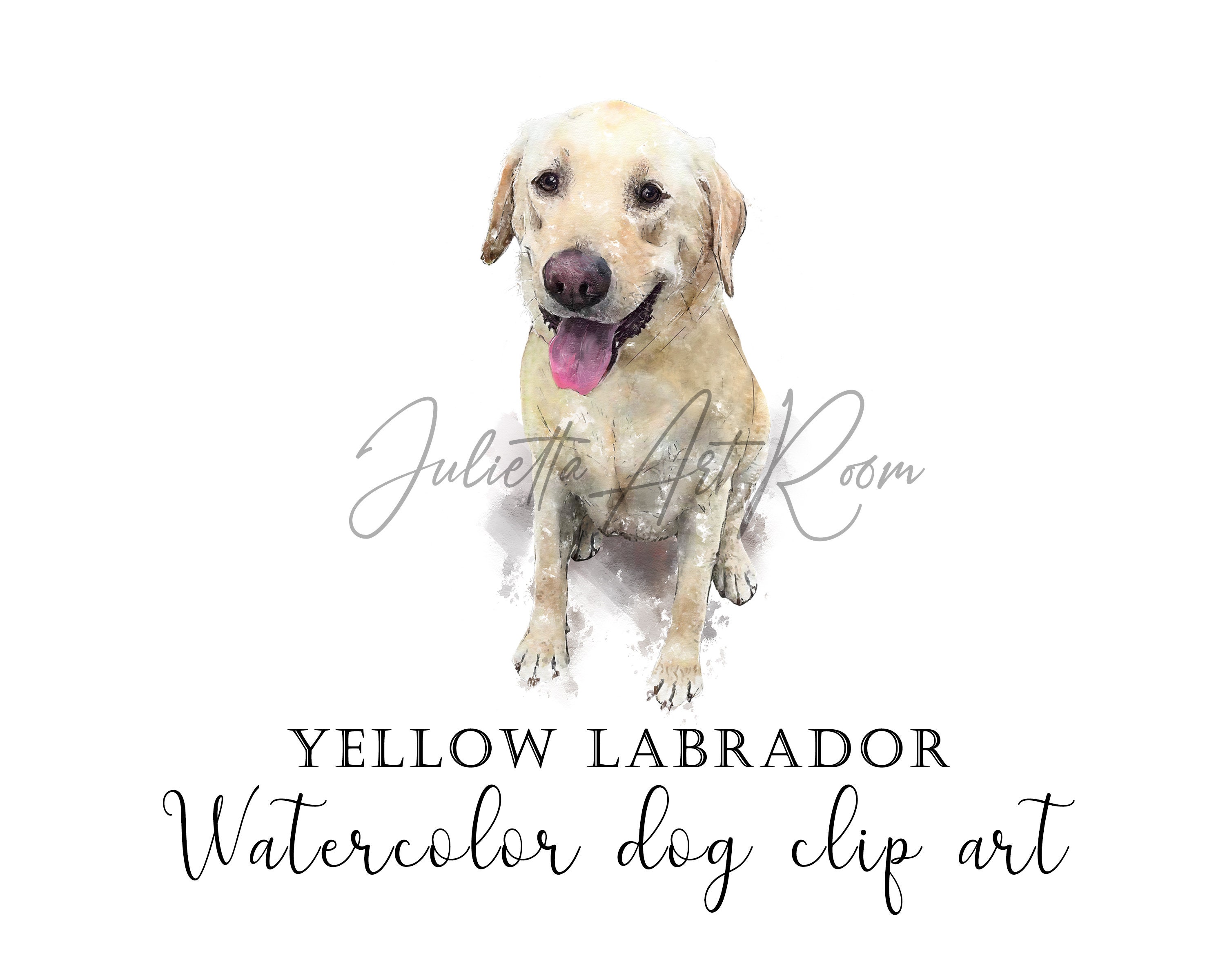 Yellow Lab Dog Clipart No Background