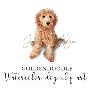 Goldendoodle Watercolor Clipart: Dog Portrait PNG Illustration (digital ...