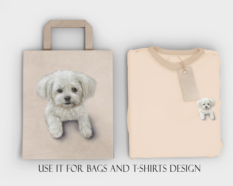 Maltese Watercolor Png Clipart Maltese Puppy Nursery Design - Etsy