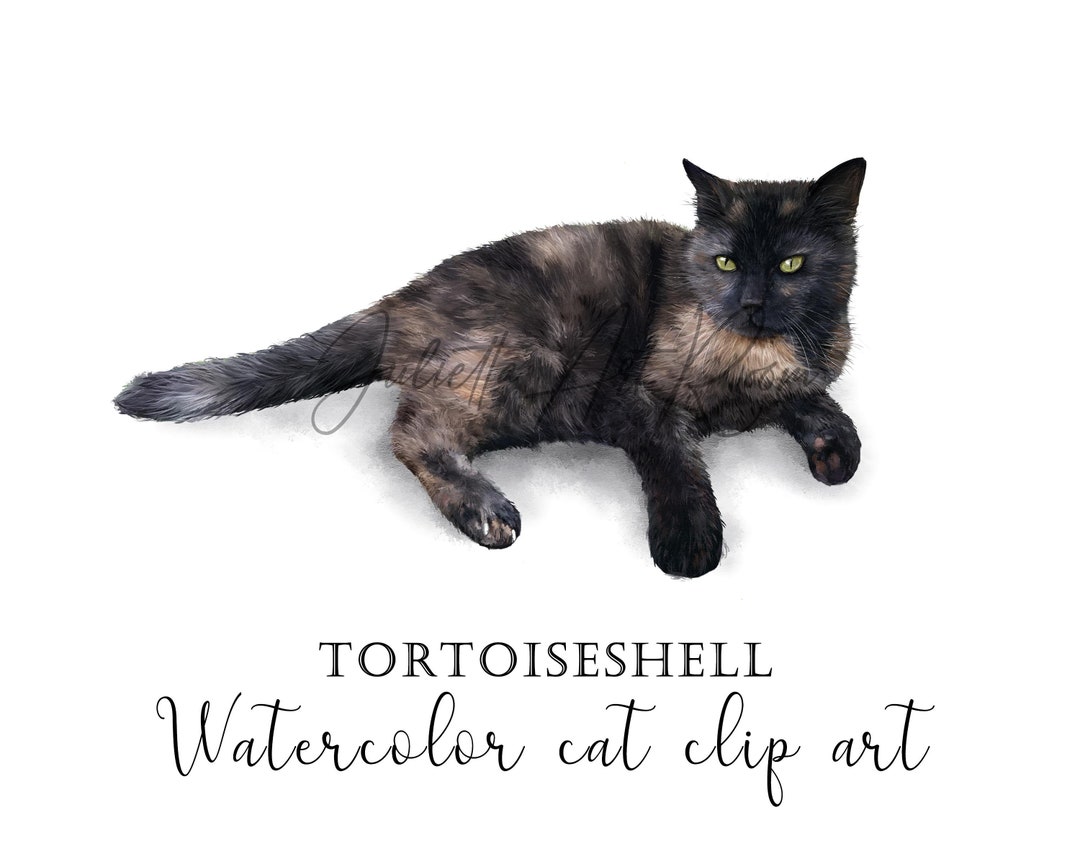 Tortoiseshell Cat Watercolor Clipart With Transparent Background ...