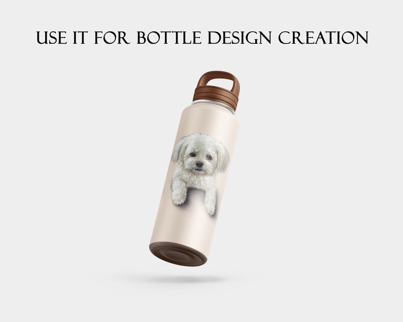 Maltese Watercolor Png Clipart Maltese Puppy Nursery Design - Etsy