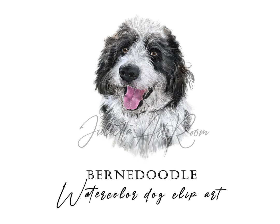 Bernedoodle Watercolor Png Clipart - Doodle Dog Clipart - Instant ...