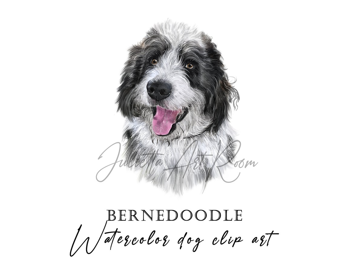 Bernedoodle Watercolor Clipart: Dog Portrait DIY (digital Download) - Etsy