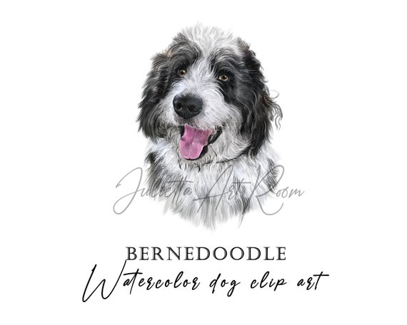 Bernedoodle Watercolor Png Clipart Doodle Dog Clipart | Etsy
