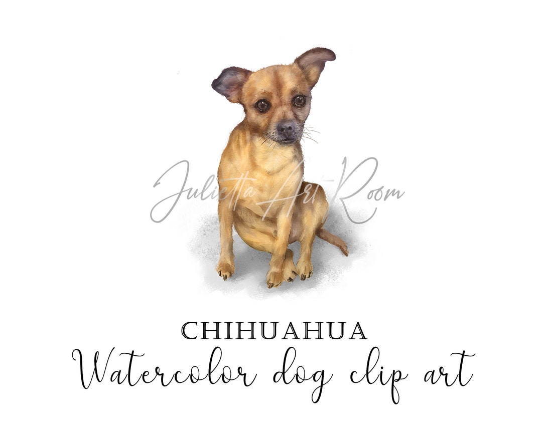 Watercolor Chihuahua Clipart, Sublimation Design, Chihuahua Png, Dog ...
